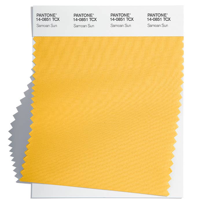 These Are the Fall 2022 Top Color Trends From New York Fashion Week ...