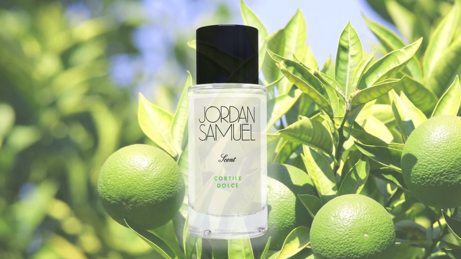 Can Scent-Generating AI Technology Democratize the Notoriously ...