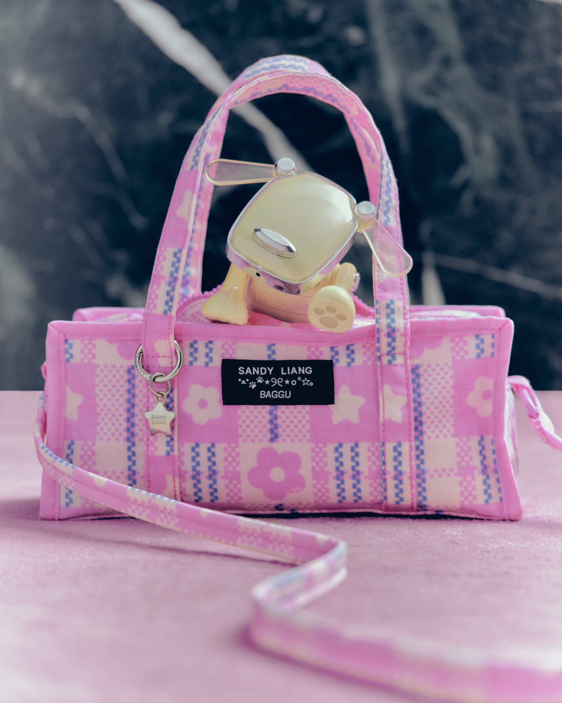 Sandy Liang's Second Collab With Baggu Is Here & It's Better Than the ...