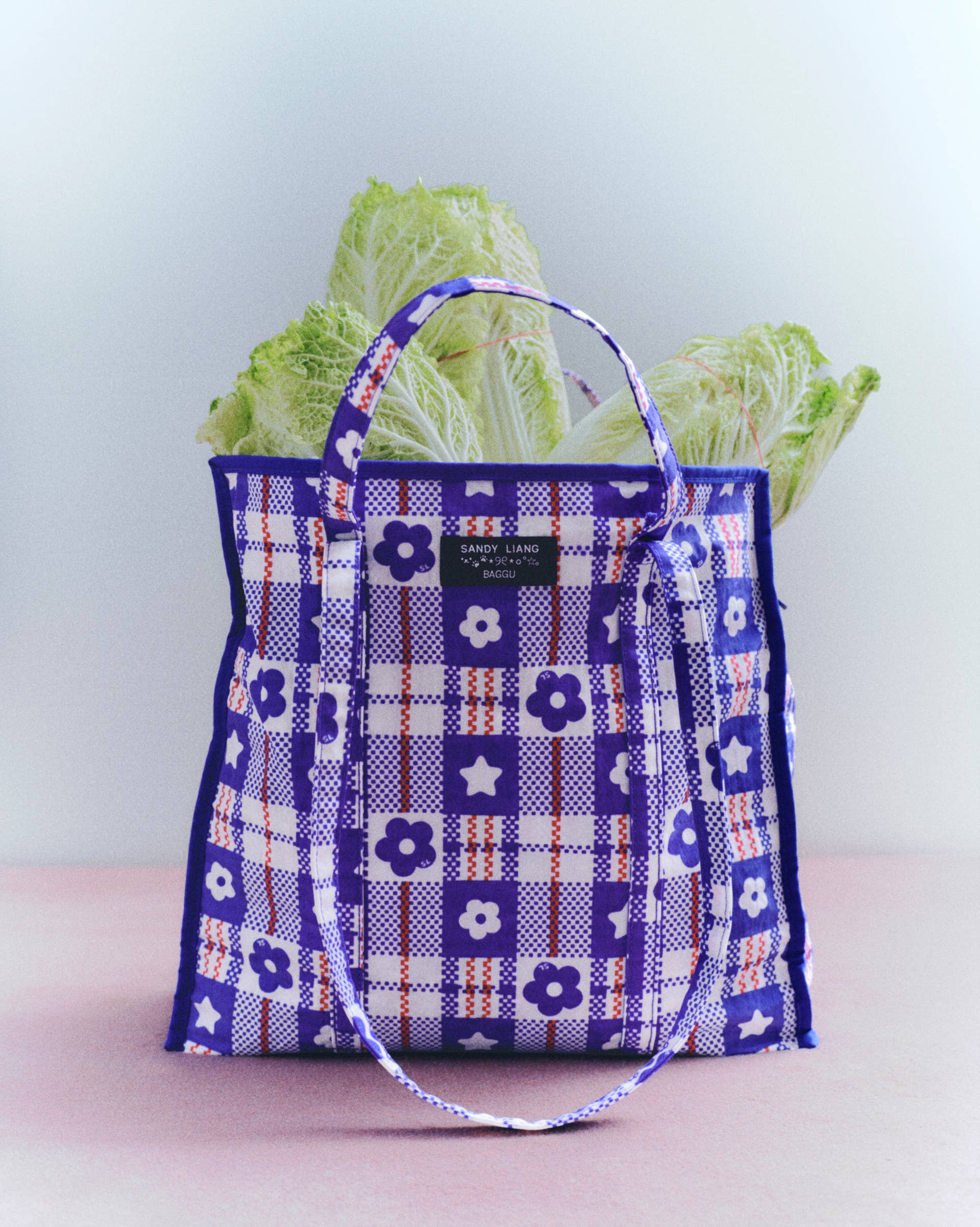 Sandy Liang's Second Collab With Baggu Is Here & It's Better Than the ...