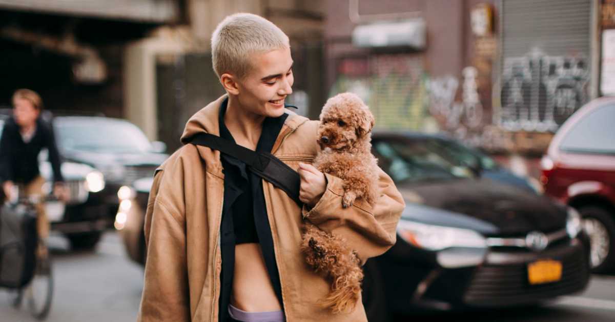 Dogs Were the Ultimate Street Style Trendsetters During Fall 2023 ...