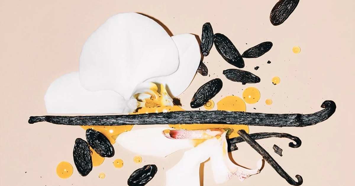 27 Modern Vanilla-Scented Products That Are Anything But Boring ...