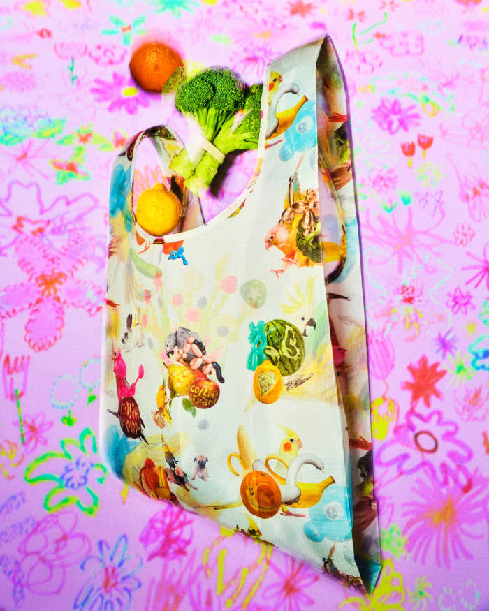 Horse Girls Will Love the New Collina Strada X Baggu Collaboration ...