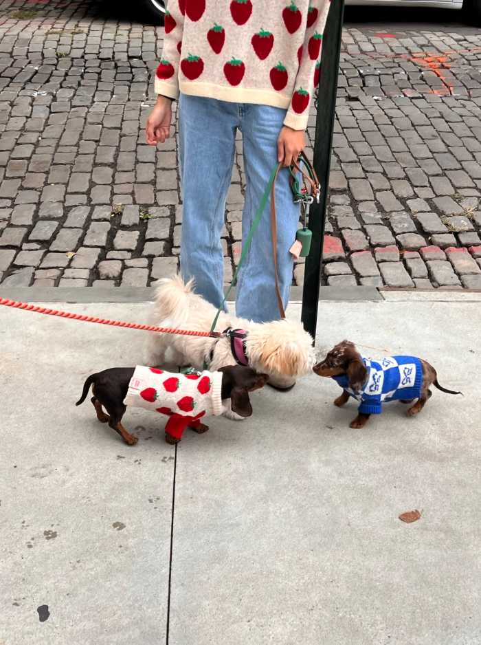 Little Beast Is Becoming the Go-to for Cool Brands Wanting to Make Dog ...