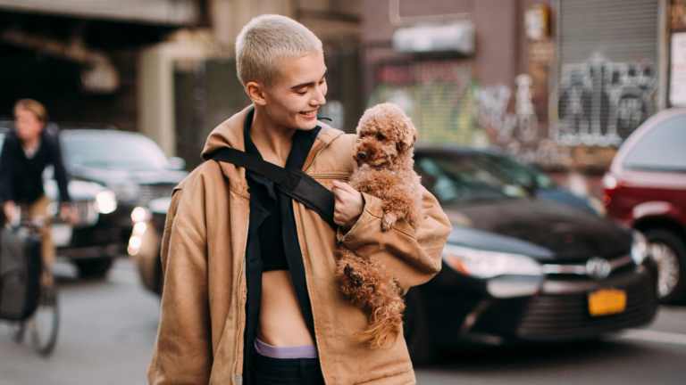 Dogs Were the Ultimate Street Style Trendsetters During Fall 2023 ...