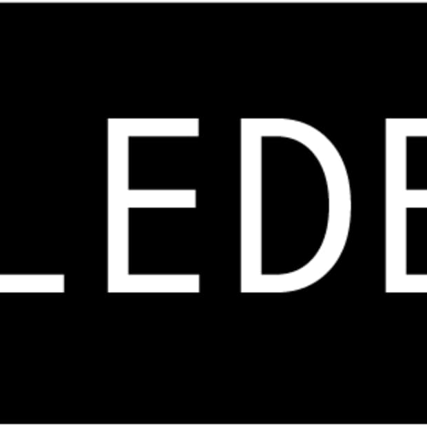 Fawnia's Celebratory Fall Jacket - Fashionista