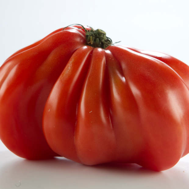 Kohl's Taps Milly for Next Designer Collaboration - Fashionista