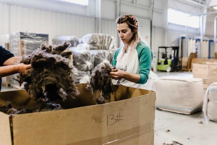 The Future of Sustainable Materials: Bison Wool - Fashionista