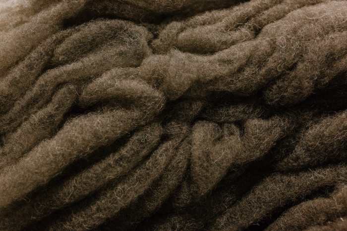 The Future of Sustainable Materials: Bison Wool - Fashionista