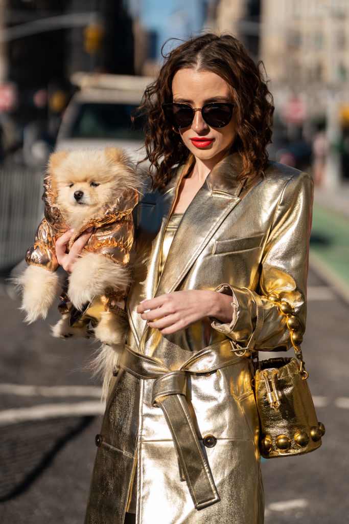 Dogs Were the Ultimate Street Style Trendsetters During Fall 2023 ...
