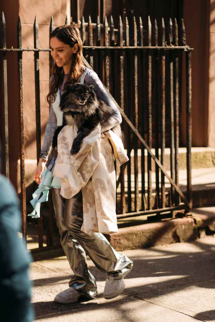 Dogs Were the Ultimate Street Style Trendsetters During Fall 2023 ...