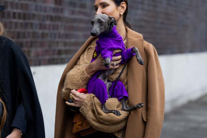 Dogs Were the Ultimate Street Style Trendsetters During Fall 2023 ...