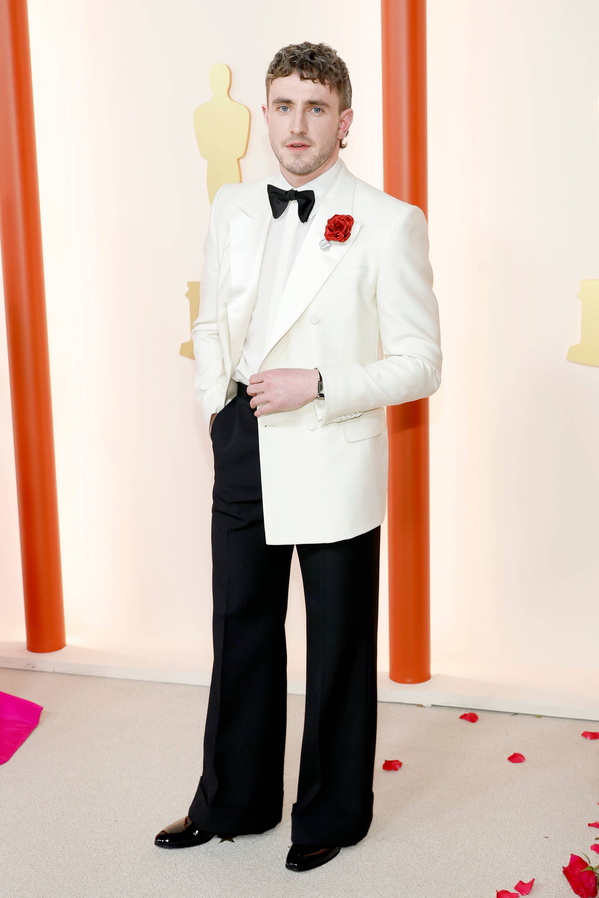 The 16 Best Looks From the 2023 Oscars Red Carpet - Fashionista