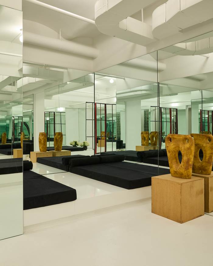 Sky Ting Opens the Doors to New York's Most Stylish New Wellness ...