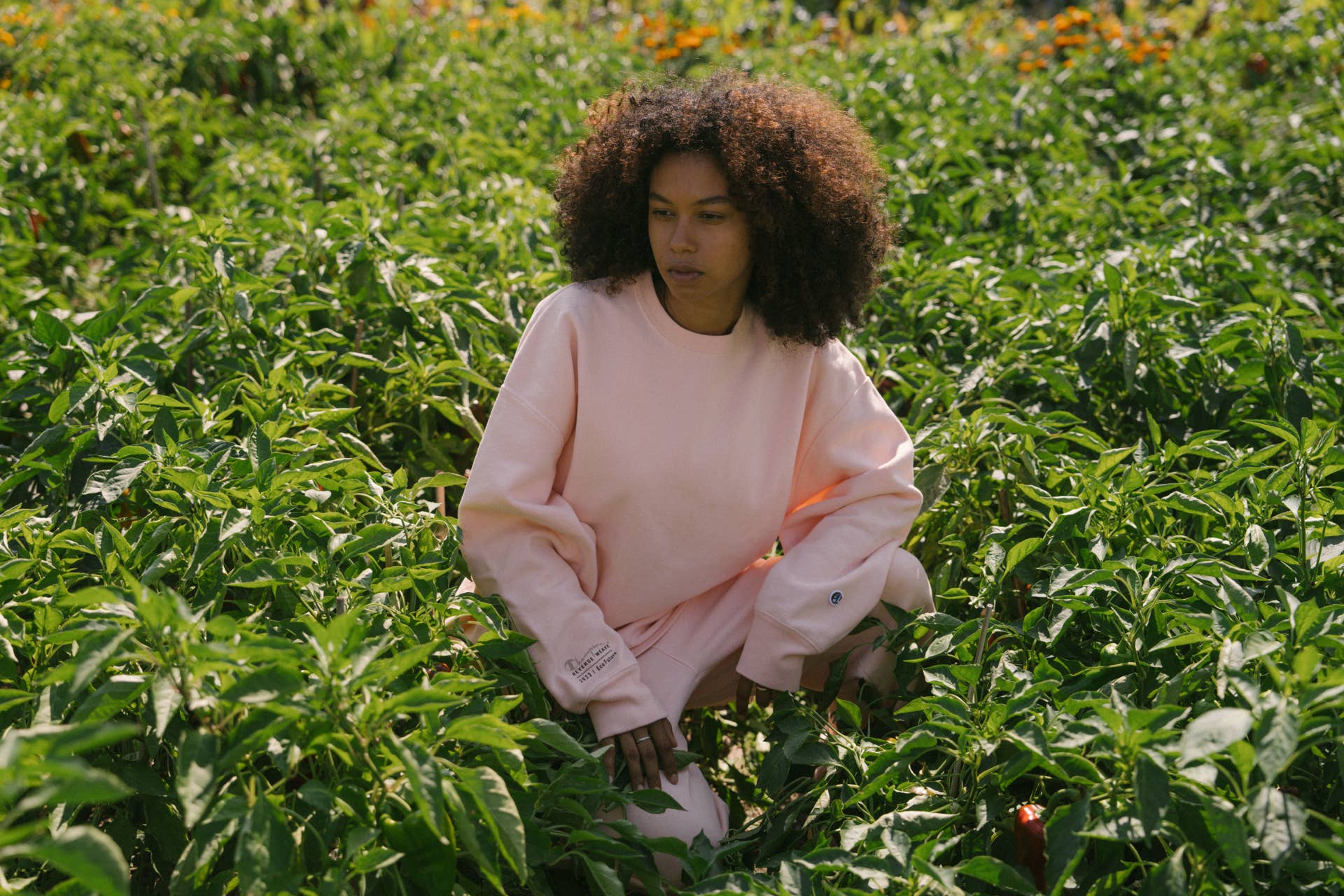 How CiCLO's Andrea Ferris Turned Her Idea for Biodegradable Polyester ...