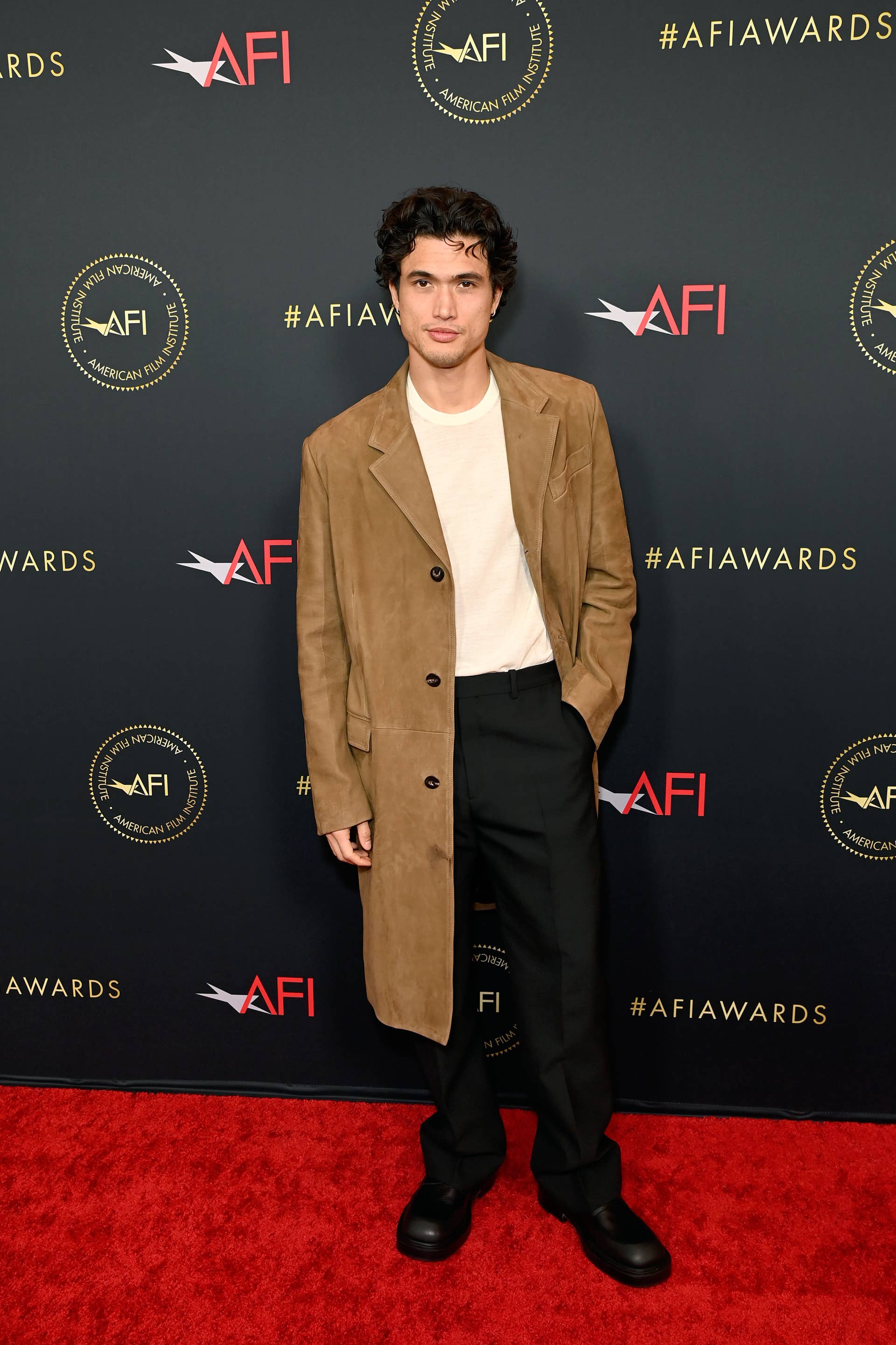 The Best-Dressed Stars at the 2024 AFI Awards Luncheon - Fashionista