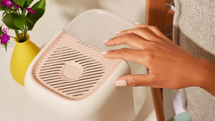 Canopy Humidifier Review: Aesthetic, Easy to Clean, No Mold, Essential ...