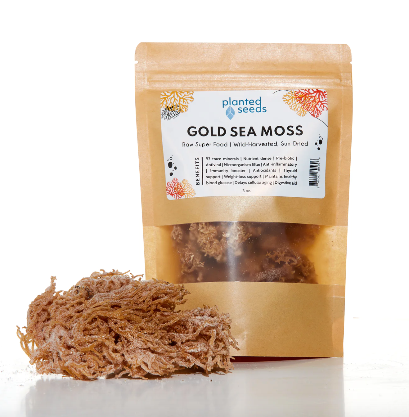Buzzy Beauty Ingredient of the Moment: Sea Moss - Fashionista