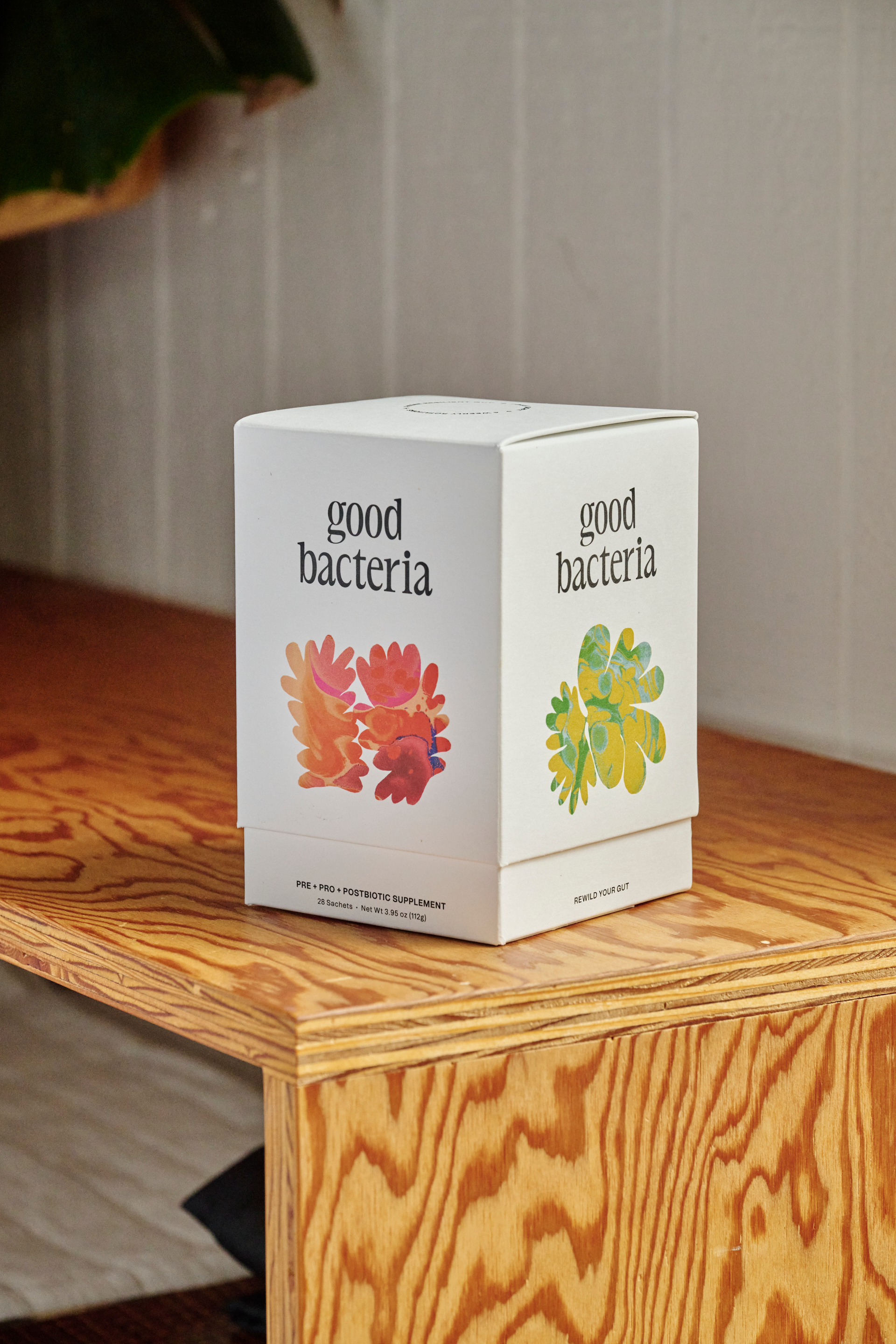 Good Bacteria: A Doctor-Formulated Supplement Brand to 'Rewild Your Gut ...