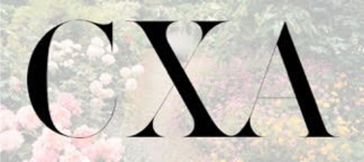 Creative Exchange Agency (CXA) Is Seeking An Intern In New York ...