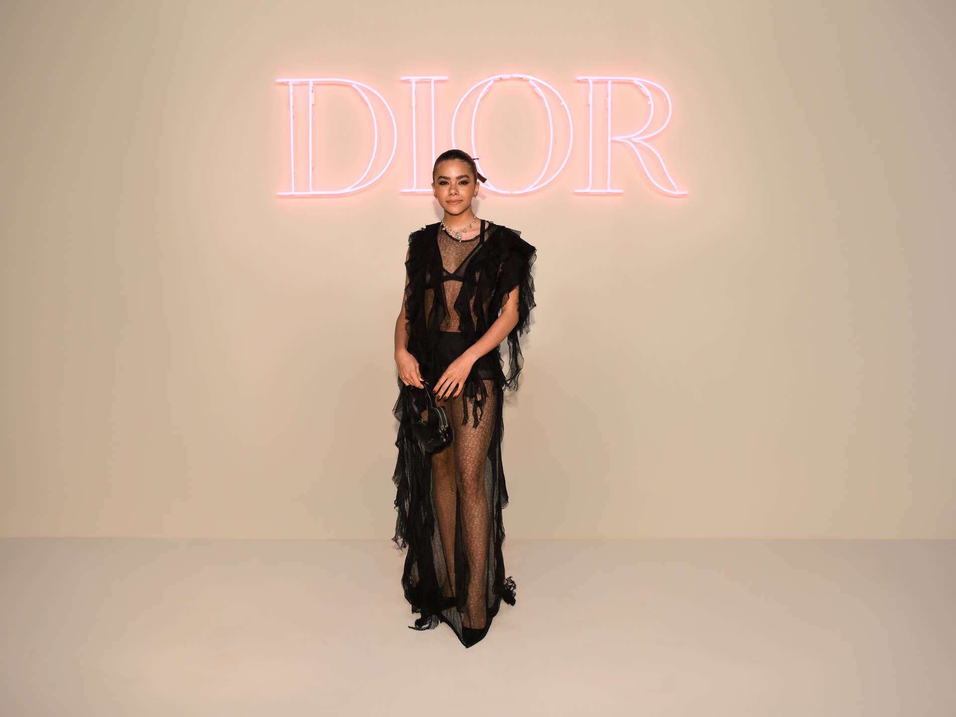 Dior Brought Out the Star Power for Pre-Fall 2024 Brooklyn Show ...