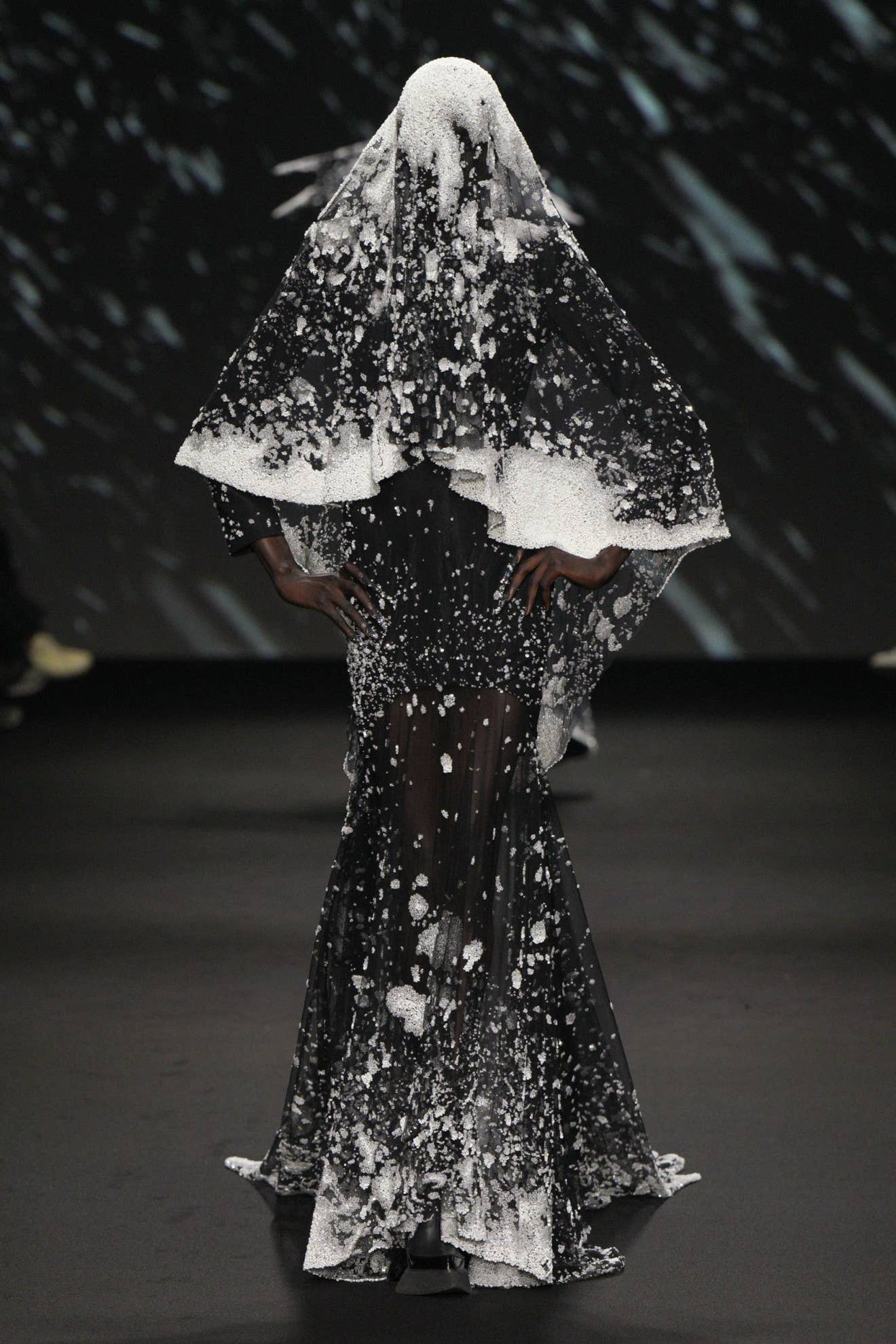 Robert Wun Expands on His Signature Shapes for Fall 2024 Haute Couture ...