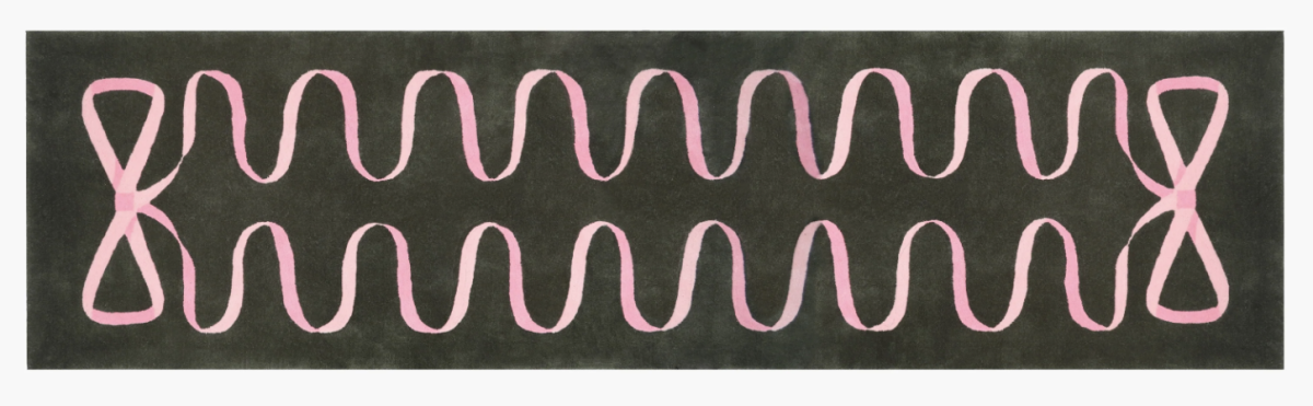 You Can Now Deck Your Home in Sandy Liang Ribbons - Fashionista