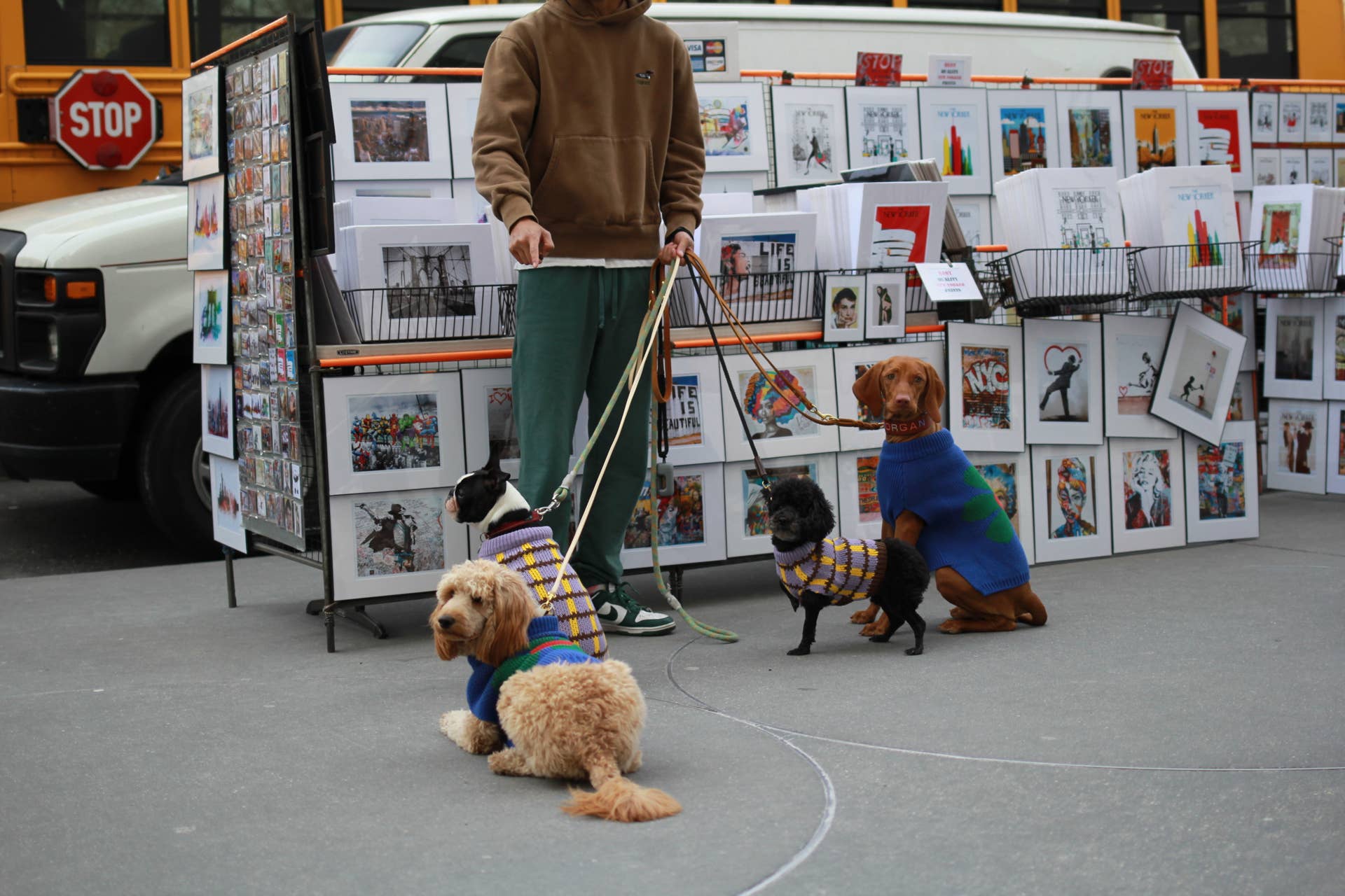 Little Beast Is Becoming the Go-to for Cool Brands Wanting to Make Dog ...