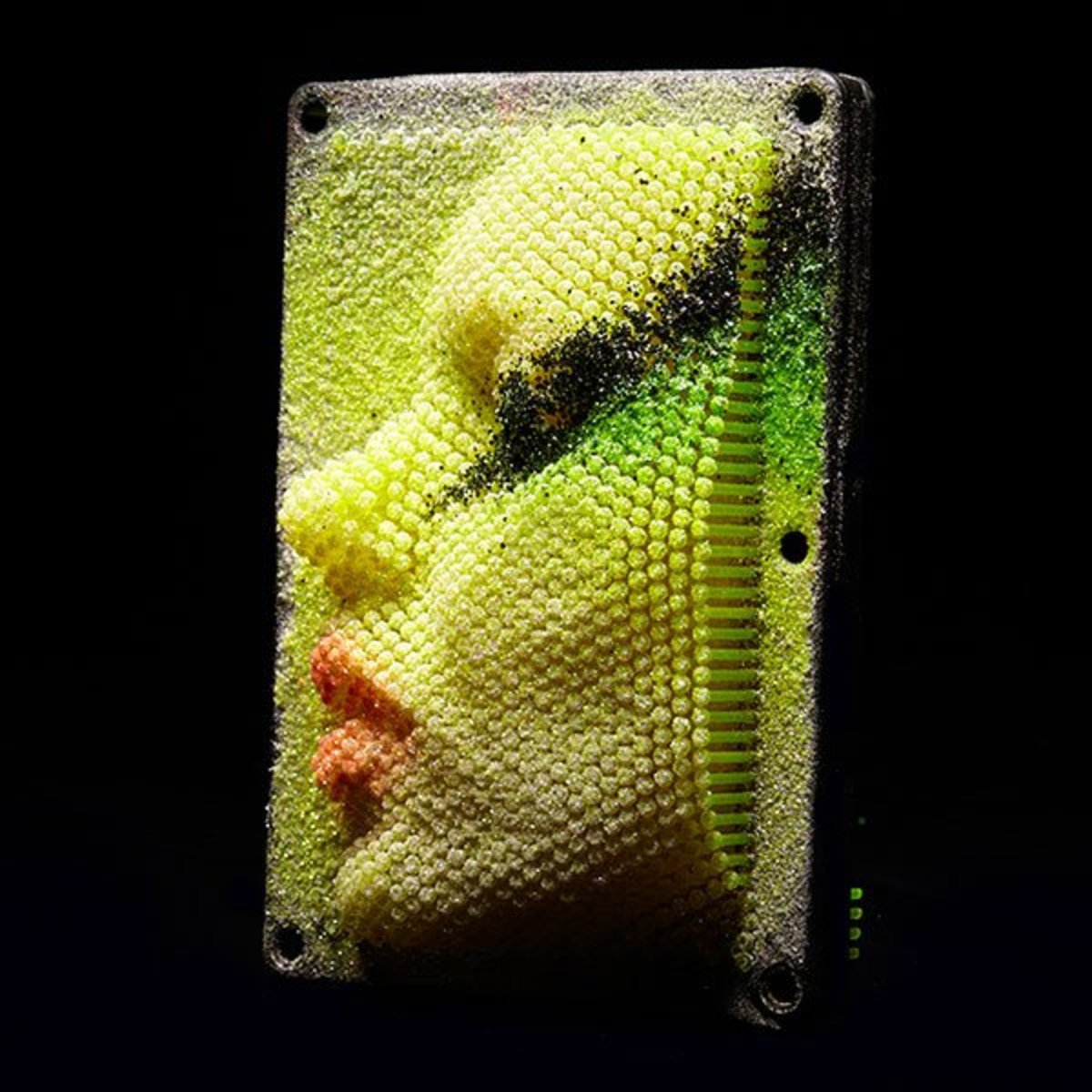 After 25 Years of Fashion Film, Showstudio's Nick Knight Envisions the Medium's Future - Fashionista