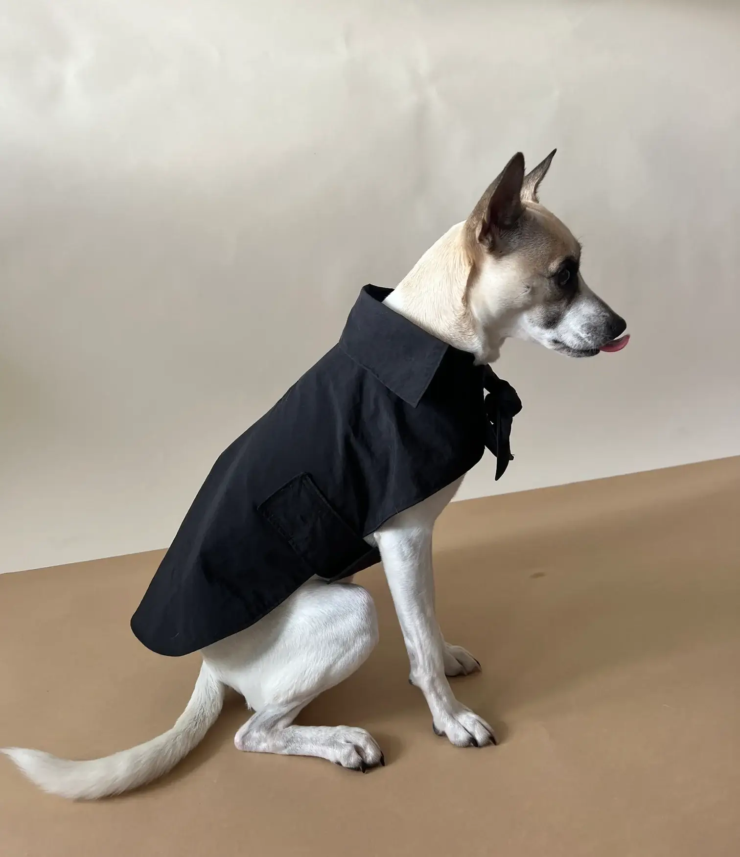 39 Gifts for the Fashionable Pet Parent in Your Life - Fashionista
